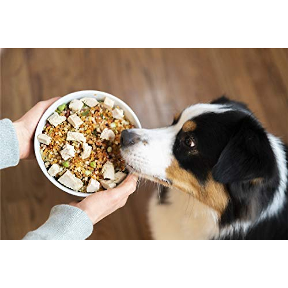 Dr. Harvey’s Veg-to-Bowl Pre-Mix Dog Food, Grain Free for a Whole Food Diet (5 pounds)