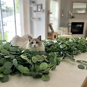 CQURE 12 Pack 84Ft Eucalyptus Garland,Artificial Eucalyptus Leaves Table Greenery Garland Wreath Vines for Wedding Party Table Fireplace Bedroom Wall Room Decor