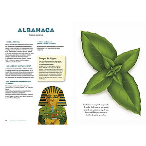 La cocina es tuya / The Kitchen Is Yours (Spanish Edition)