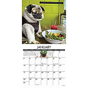 Doug the Pug 2021 Wall Calendar (Dog Breed Calendar)