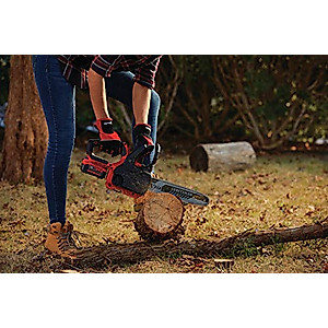CRAFTSMAN V20* Cordless Chainsaw, 12-Inch (CMCCS620M1)