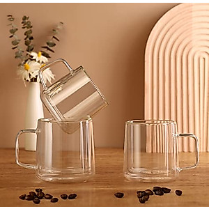 CNGLASS 10oz Glass Coffee Mugs,Double Wall Insulated Glass Mugs with Handle,Clear Espresso Mugs for Latte,Cappuccino,Tea Bag,Set of 2