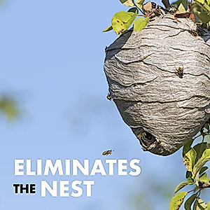 Spectracide Wasp & Hornet 3, 12 Pack, 18.5 Oz Insect Killer