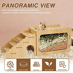 Hamster Digging Box, Small Visible Hamster Digging Room with Acrylic Transparent Board, Hamster Hideout and Exploration House with Climbing Ladder, Hamster Digging Wood Toy for Guinea Syrian Hamsters