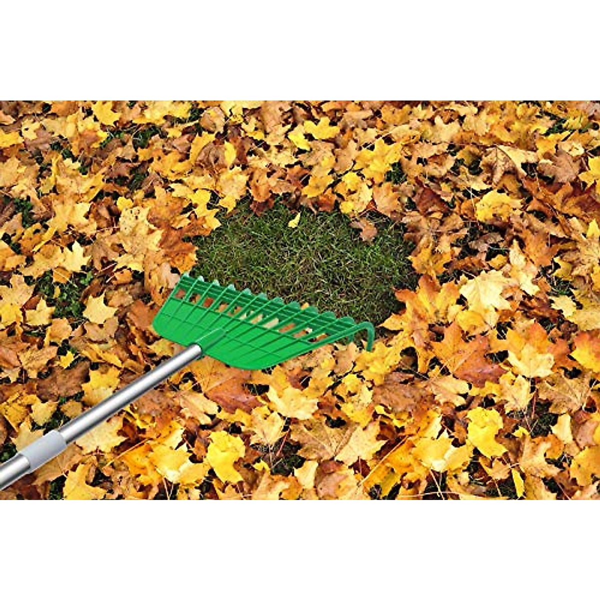 Gardzen 12 Tines Gardening Leaf Rake, Lightweight Steel Handle, Detachable, Ideal Camp Rake, Comes with Dustpan-Type Garden Bag