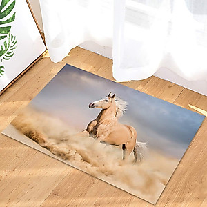 Fandim Fly Funny Indoor Doormat 20 x 31.5 Inches A Horse Running in The Desert Home and Office Decorative Entry Rug Garden/Kitchen/Bedroom Mat