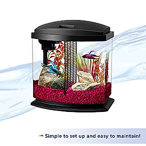 Aqueon BettaBow LED Kit Black 2.5 Gallons