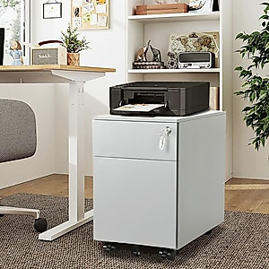 Aienid Steel Grey Cabinet 2 Drawer Mobile File Cabinet with Lock Metal Filing Cabinet for Legal/Letter/A4/F4 Size, Fully Assembled Include Wheels
