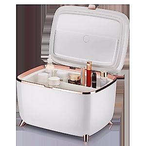 REKIRO Mini Fridge Portable Thermoelectric 9 Liter Cooler and Warmer for Skincare, Eco Friendly Beauty Fridge for Foods,Medications, Cosmetics, Breast Milk, Medications Home and Travel