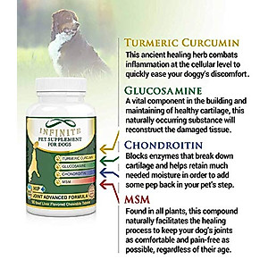 IPL Advanced Hip & Joint Formula - 90 Mobility & Pain Relief Dog Chews - Glucosamine, Chondroitin, MSM, & Turmeric for Superior Joint Health