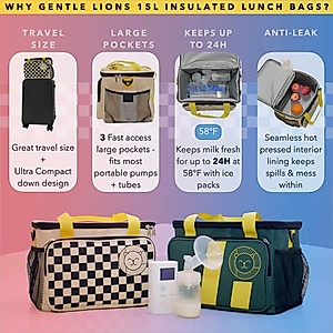 Big & Large 15L Insulated Bag OffWhite- Reusable Cooler Thermal Box, Leakproof Refrigerator Container for Adult Men & Women with Adjustable Shoulder Strap fit for Picnic, Ballgames, Kayaking