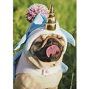 Avanti Unicorn Pug Funny Birthday Card