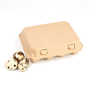 HT SUPPLY Quail Egg Cartons (50 PACK) | Vintage 3x4 Style | Holds 12 Quail Eggs | Eco-Friendly Material | Recycled Pulp