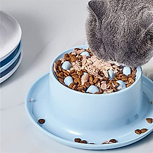 AHEGAS Dog Food Bowl Slow Food Basin Pet Cutlery Cat and Dog Universal to Prevent Obesity from Eating Too Fast Neck Protection Pet Supplies ( Color : Blue )