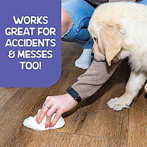 TMD Healthcare WETPET Wipes for Dogs, Lemon Scented, Grooming Wipes Remove Dirt & Grime, Deodorizing Easy to Use for Dogs & Puppies, Safe on Skin and Fur Single Pack