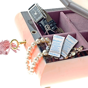 Wisesorb Silica Gel Packets, 0.5 Gram 200 Silica Packets, Food Grade Dessicant, Dessicant Packs, Silica Gel for Food, Moisture Packets for Food Storage