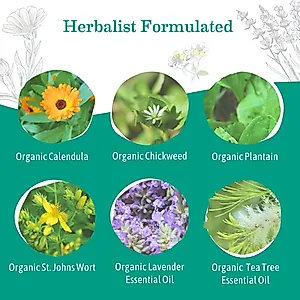 Earth Mama Nipple Butter™ & Diaper Balm | Nipple Cream & Organic Skincare for Baby | Breastfeeding & Postpartum Essentials Bundle