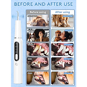 Vodi Mosa Dog Tooth Brushing Kit - Dog Tartar Remover for Teeth Dog Plaque Remover Teeth Cleaning Kit Pet Electric Toothbrush Teeth Cleaner for Dog, Cat
