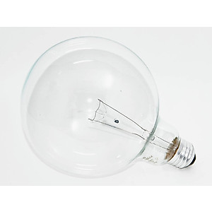 Philips 60w 120v G40 DuraMax Clear E26 Decorative Incandescent Light Bulb