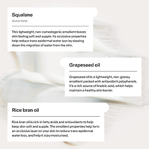 Dermatica Caring Squalane Cream Cleanser I Daily Wash For Dry or Combination Skin Types (150ml)