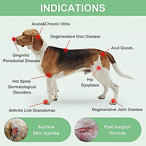 GOVW Laser Therapy for Dogs, 4x808nm+16x650nm, Cold Laser Therapy Device for Dogs Professional, Veterinary Laser Therapy Machine, Cold Laser Therapy Device for Horses, Laser Treatment for Animals