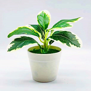 Angel3292 Artificial Potted Plant Realistic Plastic Eye-Catching Imitative Bonsai Plants for Home Potted Plant Delicate for Garden