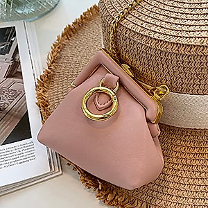 CLOTHIUM MINI Women Crossbody Bags,PU Leather Shoulder Bag with Metal Clasp Closure (pink)