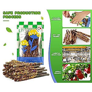 Abizoo Bunny Chew Toys for Rabbits,18PCS Natural Apple Wood Sticks with Petals Good for Chinchillas Guinea Pig Hamster Teeth Care, Bunny Small Pet Treats Teething Toys| Natural Organic Safe