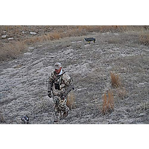 Lucky Duck Yote Coyote Decoy