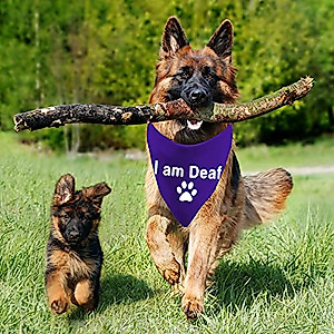 BLUPARK Funny Pet Dog Cat Bandana Scarf I Am Deaf Dog Bandana Handkerchief Scarf Tie On Special Needs Dog (I am Deaf)