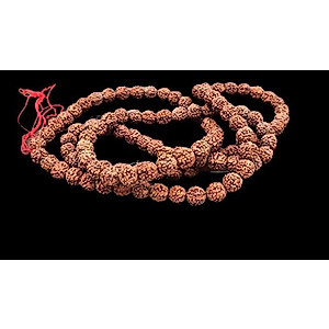 Original Rudraksha Mala With Certificate For Wearing And Japa Mala (5 Mukhi Mala, 108 Beads Mala Rosary Garland)