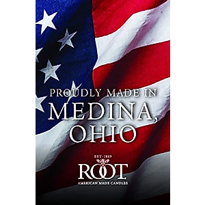 Root Candles Unscented Timberline Collenette 5-Inch Dinner Candles, 8-Count, Garnet