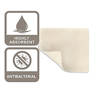 Pivot Silver Alginate Wound Dressing – All-Natural First Aid | 4x5 Dressings, Box of 10
