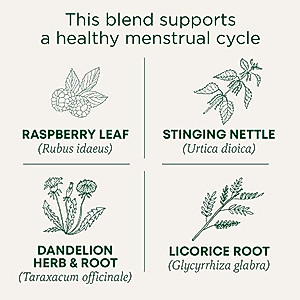 Traditional Medicinals Organic Women's Tea Menstrual Cycle Support, 16 Count (Pack of 6)