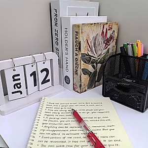 Fengtaiyuan ADRP18, Retractable Gel Pens, 0.5mm, Red Ink, Fine Point, Writting Smooth, 18 Pack (Red-ADRP18)