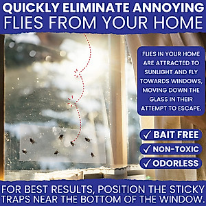 Window Fly Traps Indoor Clear 15pk Strips Indoor. The Only Double Strip Trap for Home. Paper Catchers Inside Home Flypaper House Killer Bug Catcher