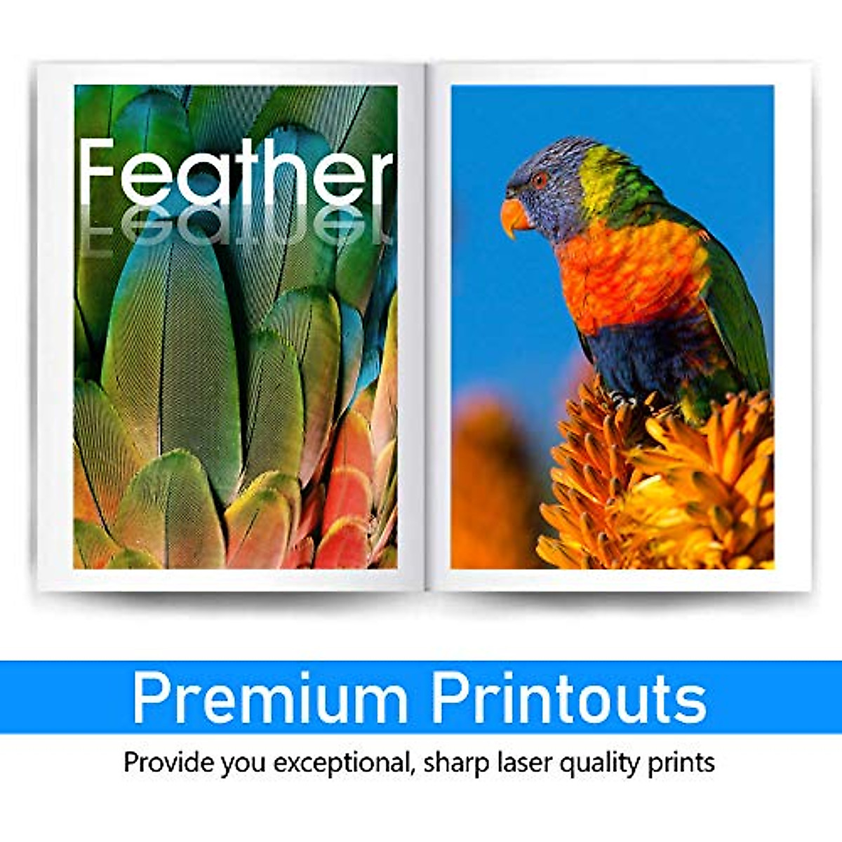 greencycle Black and Color Toner Cartridges (4 Pack) Compatible for Brother TN221 TN225 Work with HL-3140CW HL-3170CDW MFC-9130 MFC-9330 MFC-9340 Printers