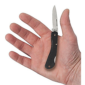 Case Cutlery 00253 Lightweight Mini Blackhorn Pocket Knife with Stainless Steel Blade, Black Synthetic
