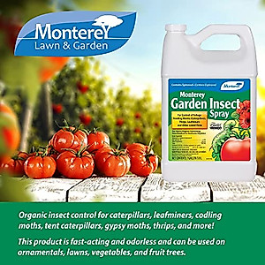 Monterey LG6155 Garden Insect Spray Liquid Concentrate Insecticide/Pesticide, 1 Gal