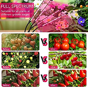 Grow Lights for Indoor Plants, Four Head LED Grow Light with Full Spectrum & Red White Spectrum for Indoor Plant Growing Lamp, Adjustable Gooseneck, Suitable for Plants Growth