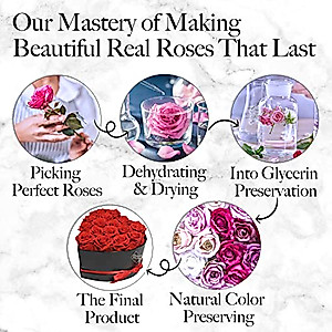 GLAMOUR BOUTIQUE 16-Piece Forever Flowers Heart Shape Box - Preserved Roses, Immortal Roses That Last A Year - Eternal Rose Preserved Flowers for Delivery Prime Mothers Day & Valentines Day - Red