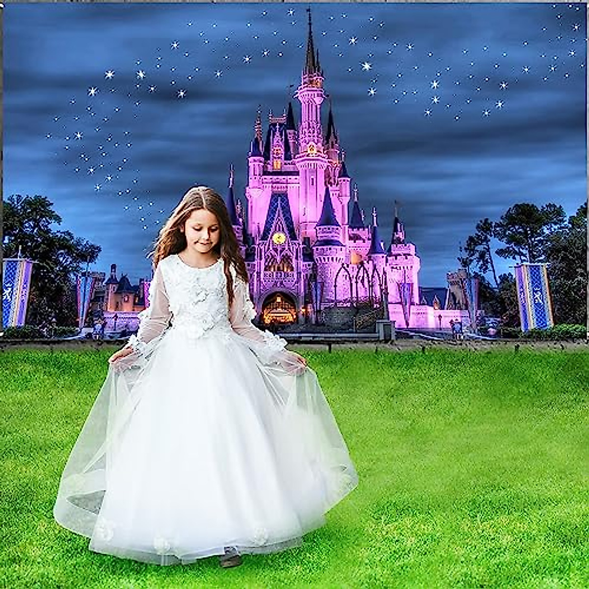 Floewrstown Princess Castle Backdrop 7x5ft Washable Polyester Beautiful Castle Night View Photography Background Cinderella Castle Backdrop Birthday Party Photo Video Shooting Props FT126