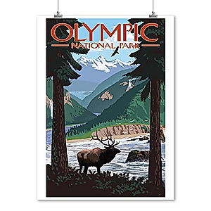 Olympic National Park, Washington, Grand Valley, Elk (9x12 Wall Art Print, Home Decor)