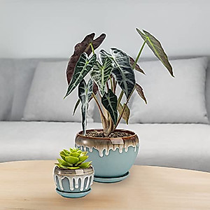 Lyellfe Set of 3 Ceramic Plant Pot, Planter Pots with Drain Hole and Connected Saucer, 7/5 / 4 Inch Decorative Flower Pots for Indoor Outdoor, Balcony, Office, Apple Shape