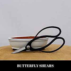 Tinyroots Tool Kit for Bonsai - 3 Piece Set Includes: Traditional Butterfly Shaped Bonsai Shears, Genuine Japanese Hemp Broom, Three Pronged Rake & Bamboo Storage Case + Bonsai Tools