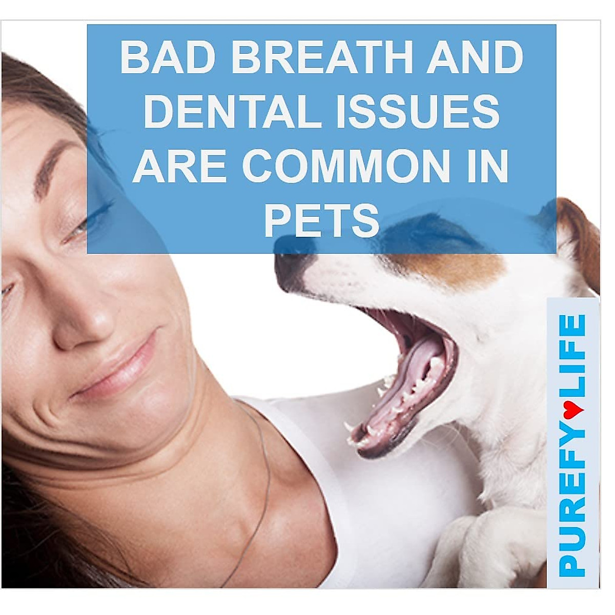 PUREFY Pet Dental and Breath Spray. Instantly Removes Bad Breath Odor. Helps Keep Pet Breath Fresh and Teeth Clean - Supports Gum Health. Cleared for Frequent Use.