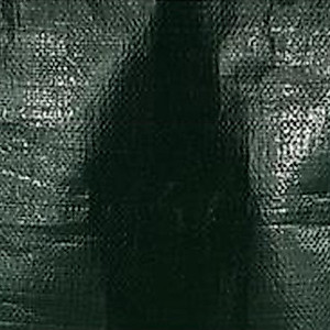 Compost Bin Leaf Trash Bag Large Capacity Waterproof PE Material Organic Compost Bag Extra-Large Heavy-Duty Garbage Can Garden Supplies Leaf Composting Bag