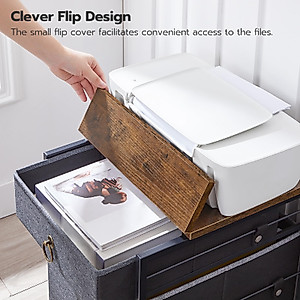 HOOBRO File Cabinet, 2-Drawer Filing Cabinet, Vertical Mobile Office Cabinet, Rolling Printer Stand, for A4/Letter Size Files, Nonwovens Drawer, for Home Office, Rustic Brown and Gray BFG21WJ01