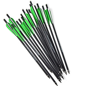 MILAEM 16/17/18/20/22 Inch 12 Pack Carbon Crossbow Bolts Hunting Practice Crossbow Arrows with Moon Nocks and 100 Grain Removable Tips (Green, 16 Inch)
