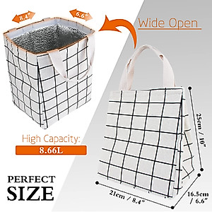 Daixers Lunch Bag Insulated Lunch Box for Women Men,Reusable Adult Lunch Tote Bags for Work or Travel (White Plaid)